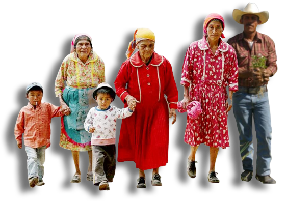 Home - Red Solidaria